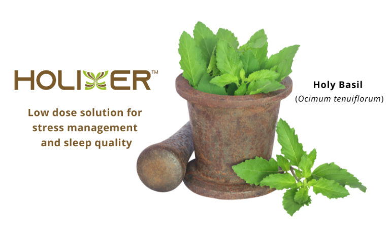 Holixer™ Holy Basil Extract - ITS Nutriscience