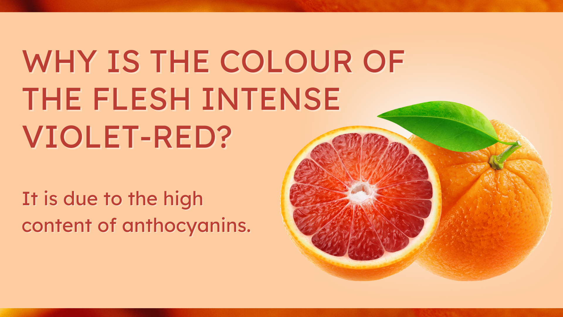 Morosil™ – The Award-winning Ingredient in Weight Management - ITS ...