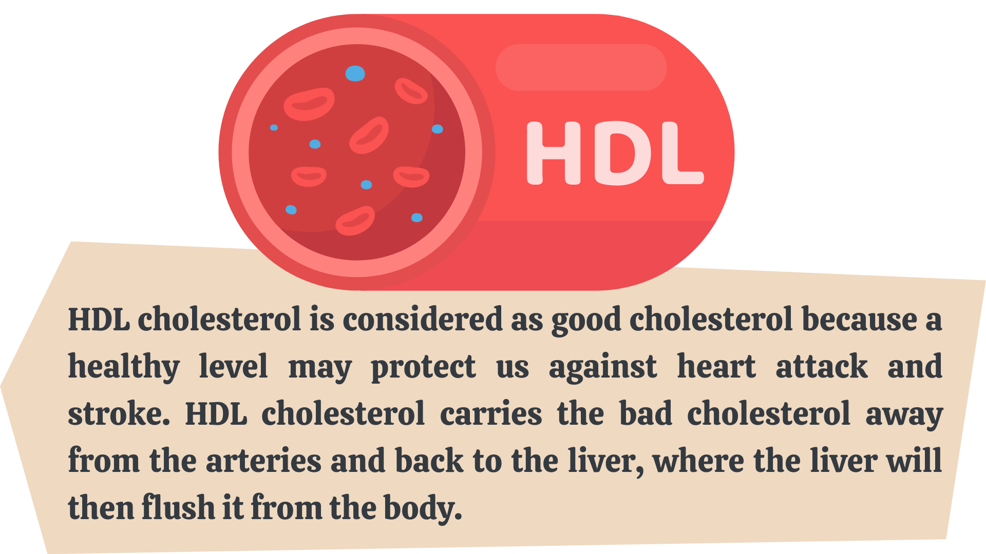 Cholesterol Management Made Simple: Practical Steps for a Stronger Heart