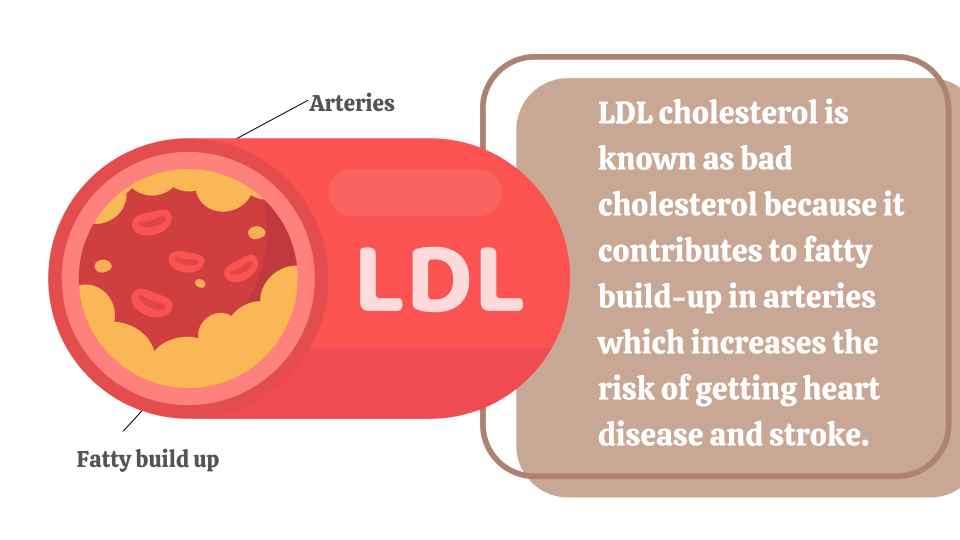 Cholesterol Management Made Simple: Practical Steps for a Stronger ...